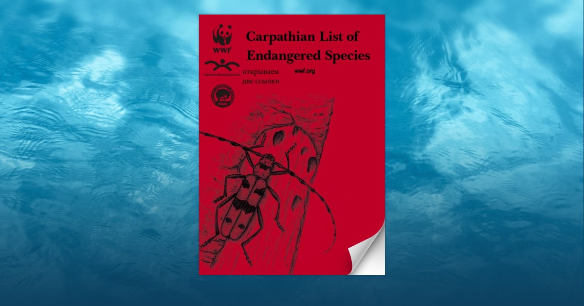 Copy of Блоегас - Page 375