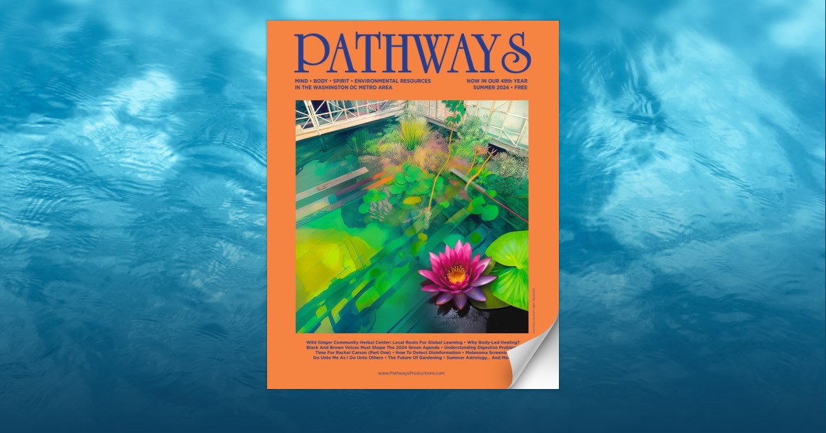 Pathways SU24 Digital Magazine - Page 3