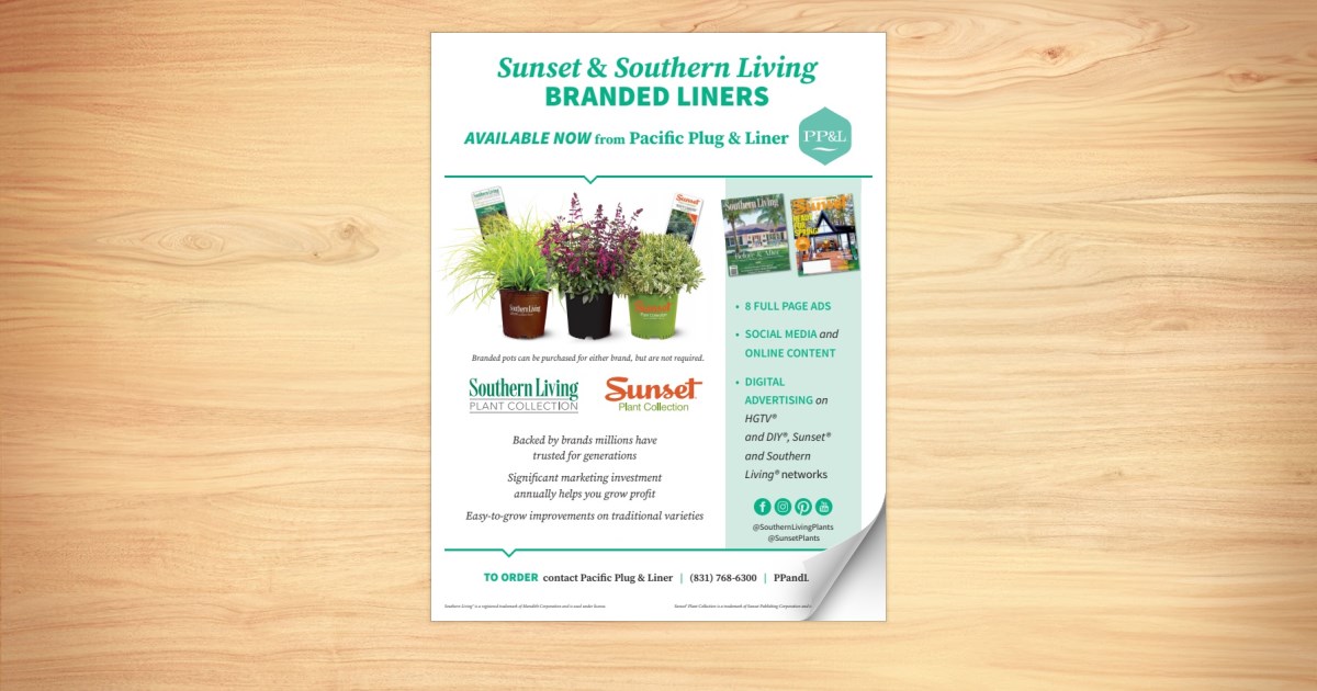 Sunset Plant Collection 2022-2023
