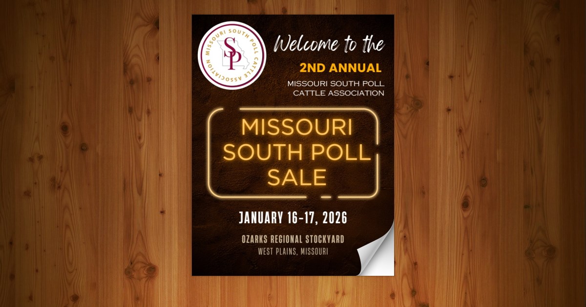 Missouri South Poll Cattle Association - Missouri South Poll Sale [1/17 ...