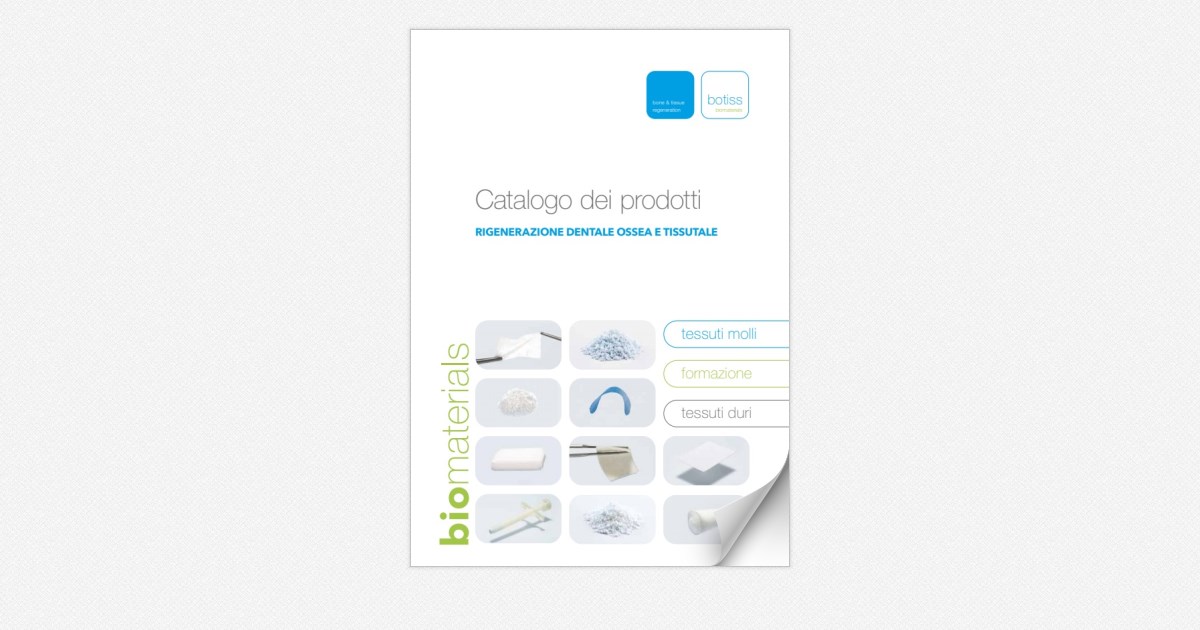 portfolio_IT_botiss_211012