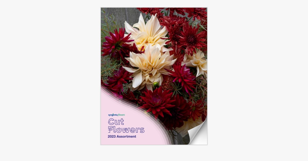 2023 Cut Flowers Assortment Brochure | AMERICAS