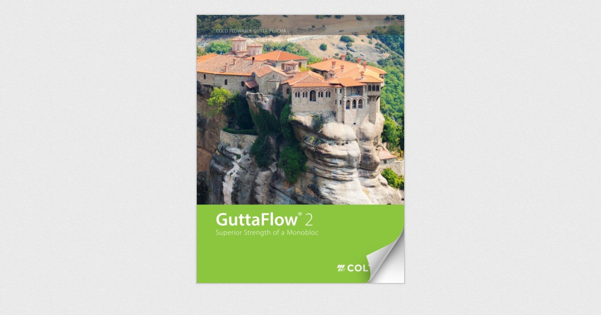 30588D GuttaFlow 2 Brochure.pdf
