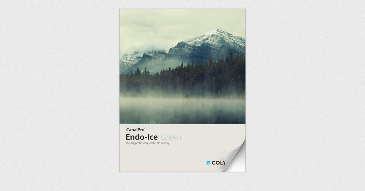 31607A_Endo-Ice GreenSS.pdf
