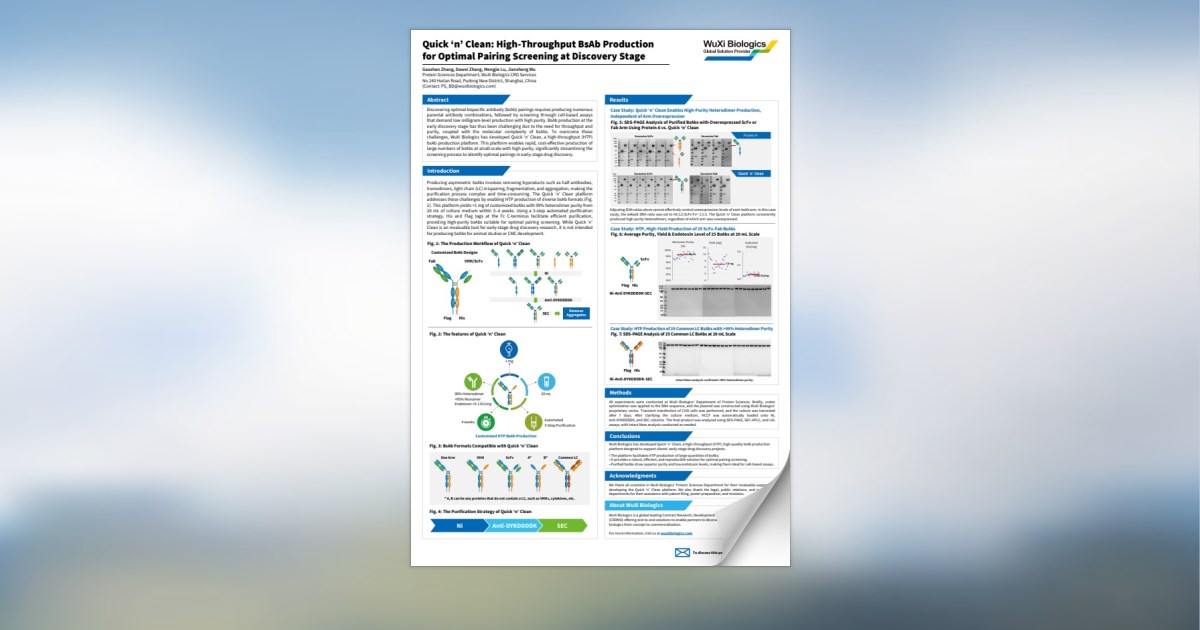 Unlock the optimal pairings of BsAb using Quick ‘n’ Clean
