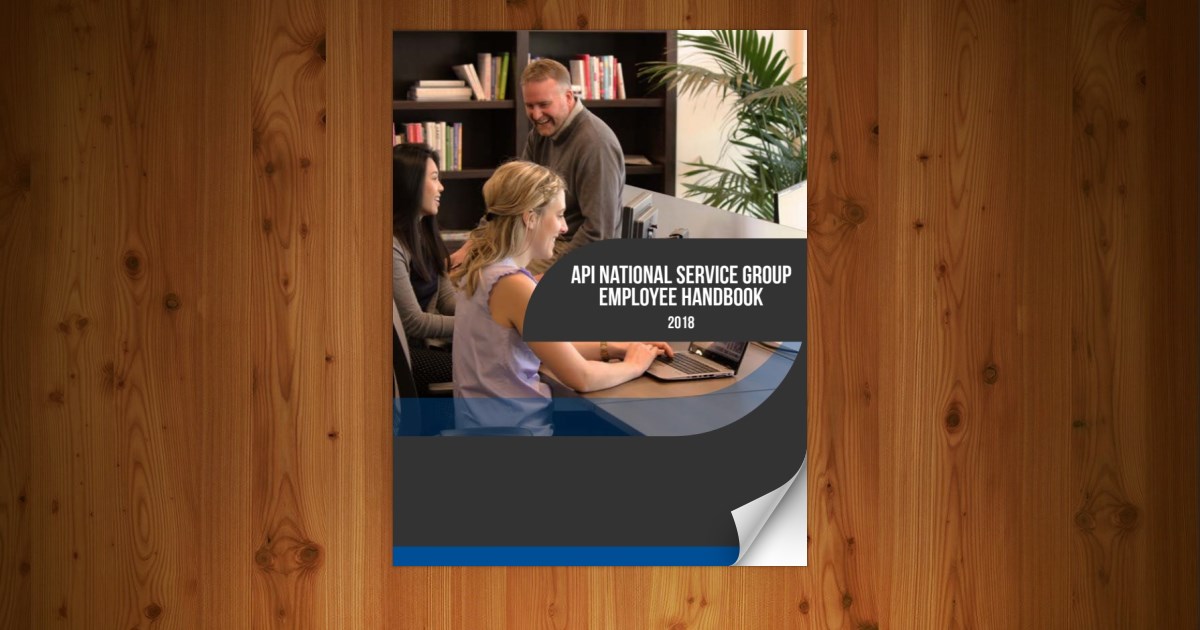 APi NSG Employee Handbook 2018 - Page 2