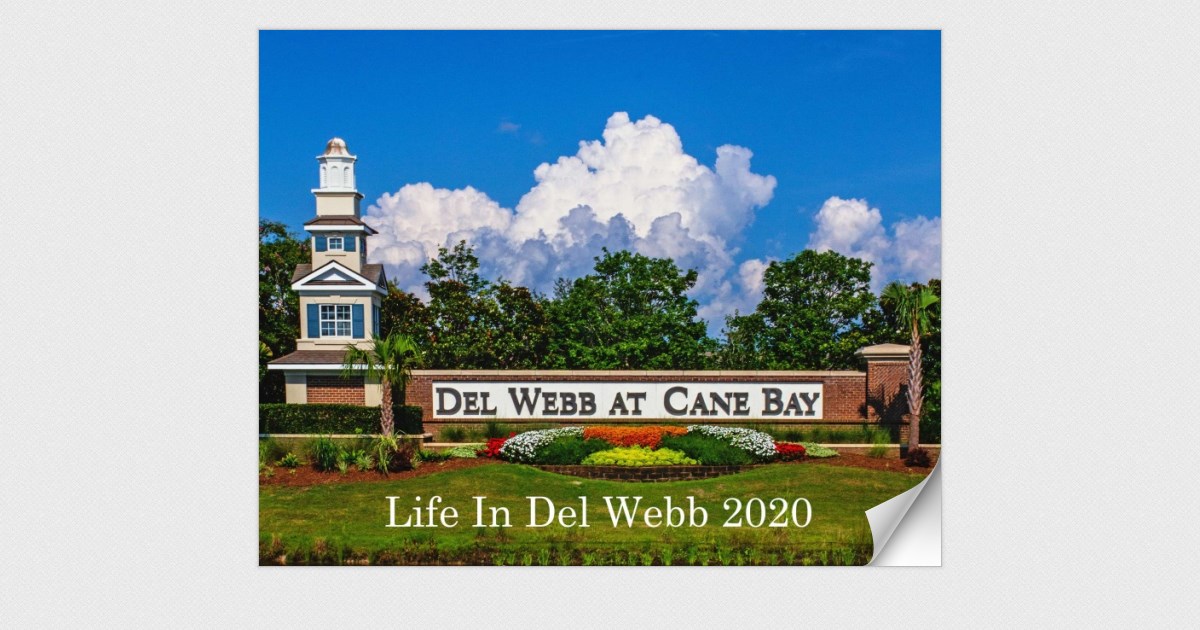 LIFE IN DEL WEBB 2020 - Page 94