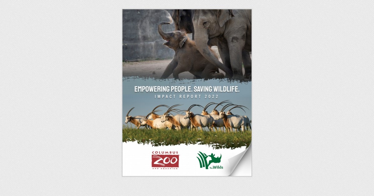 2022 Impact Report - Page 27