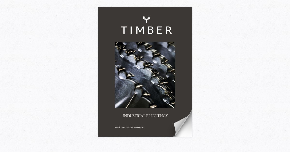 Timber customer magazine 2023 - Page 6