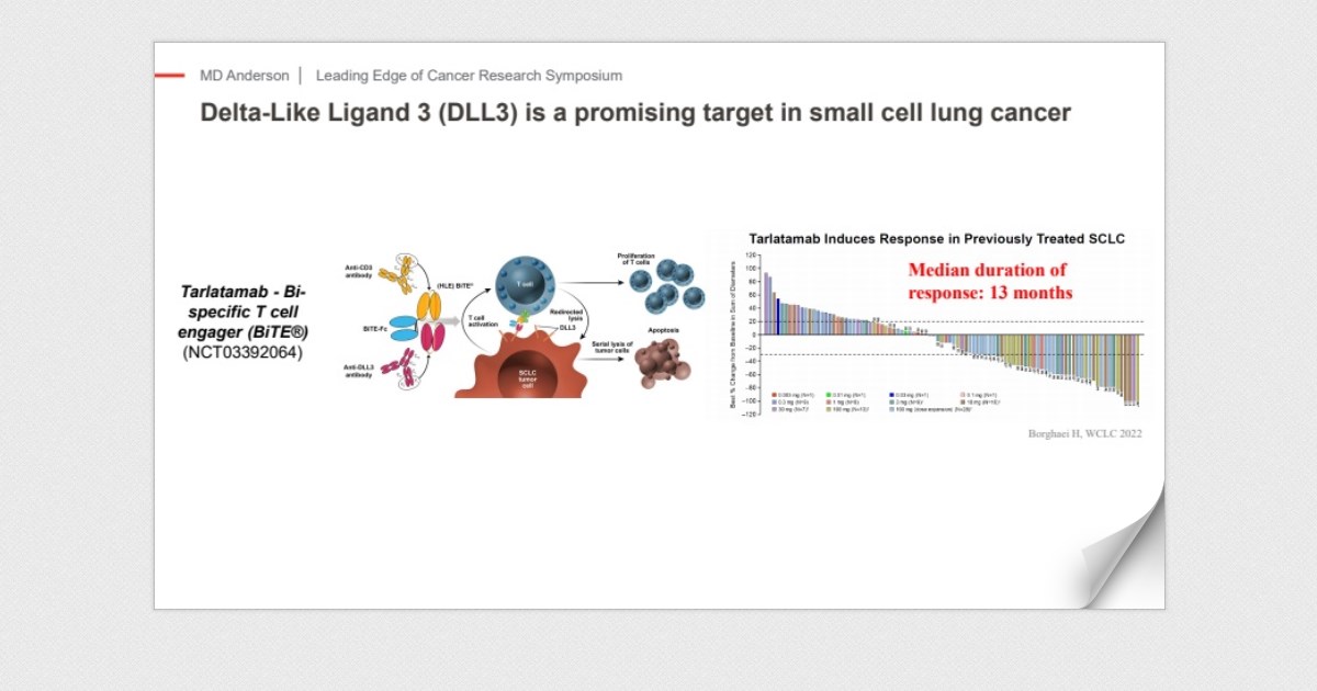 Validating DLL3-targeting CAR T in small cell lung cancer