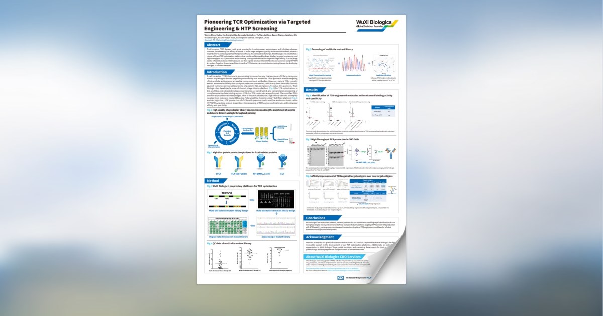 TCR Optimization via Targeted Engineering & HTP Screening