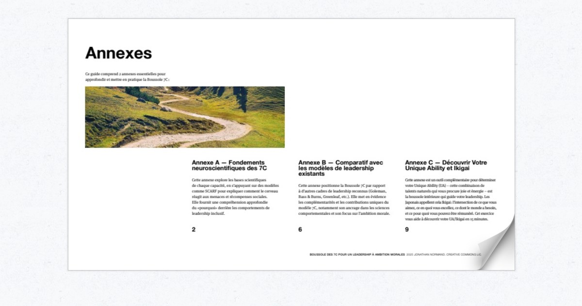 L’Ambition Morale du Leadership Annexes