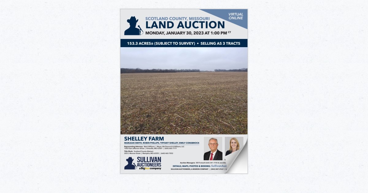 Shelley auction booklet