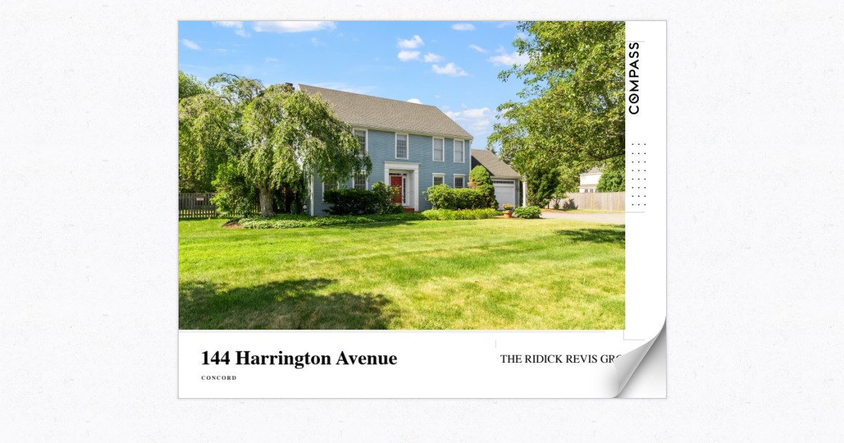 144 Harrington Brochure