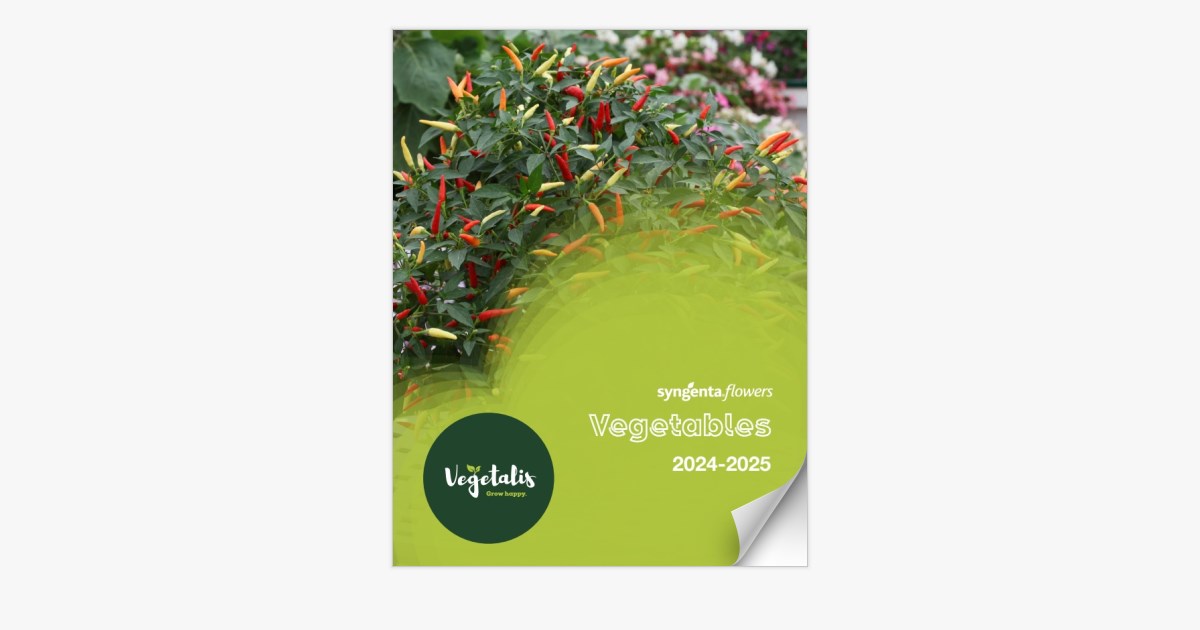2024-2025 Vegetalis Catalog | NA