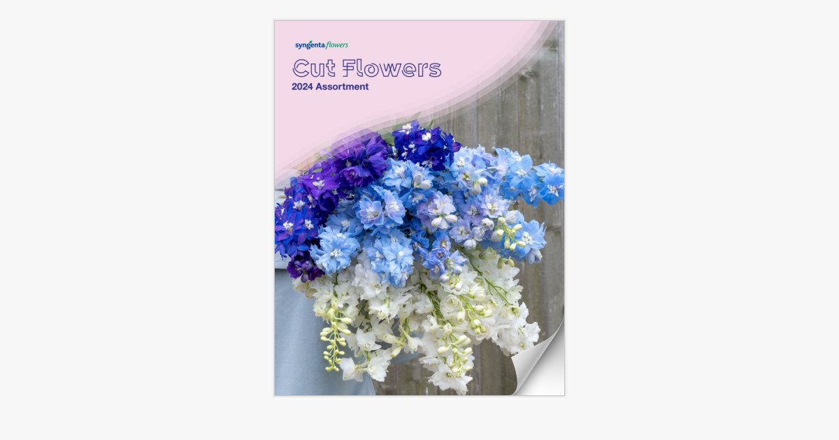 2024 Cut Flowers Brochure | NA
