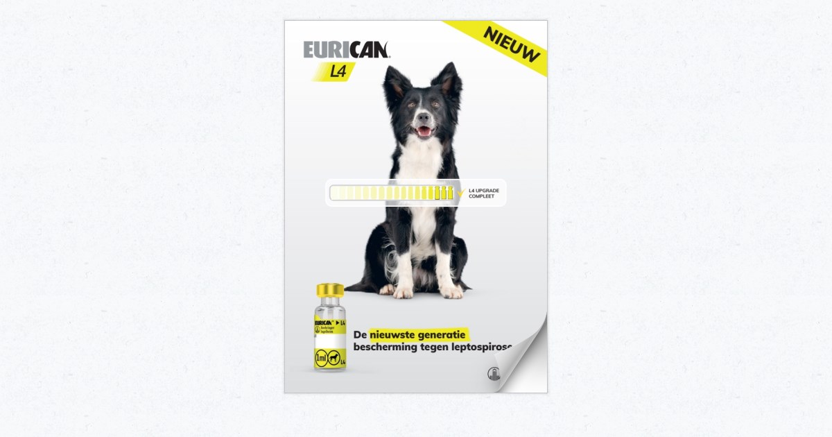 Eurican L4 drieluik dierenartsbrochure