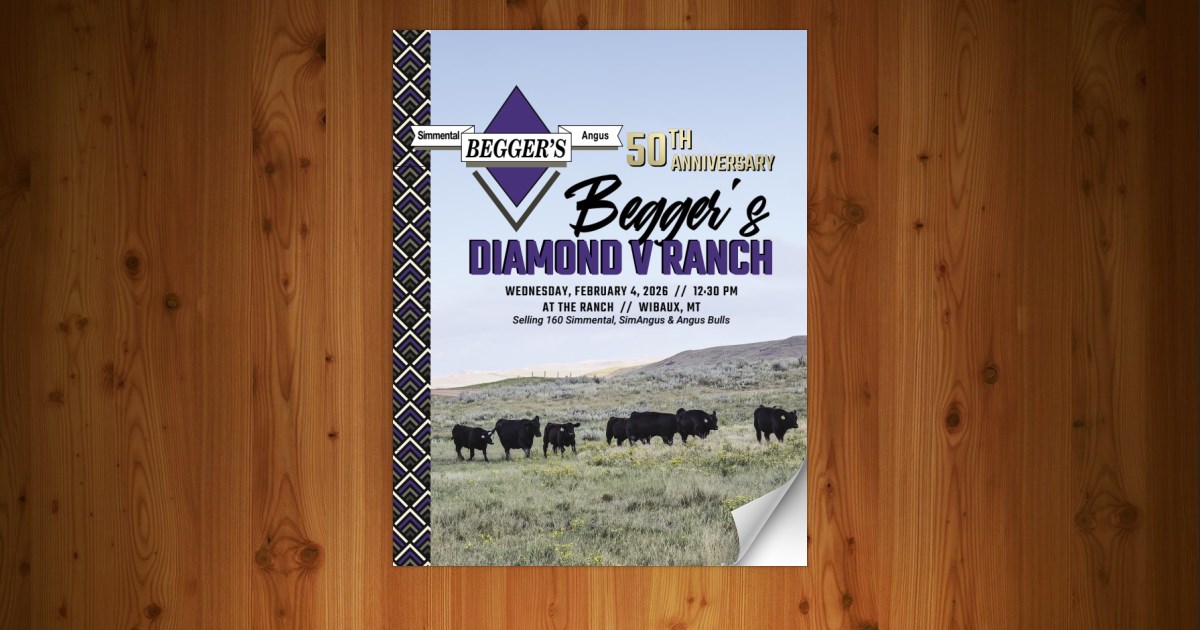 Begger's Diamond V - Annual Simmental Bull Sale [2/4/26] - Page 36