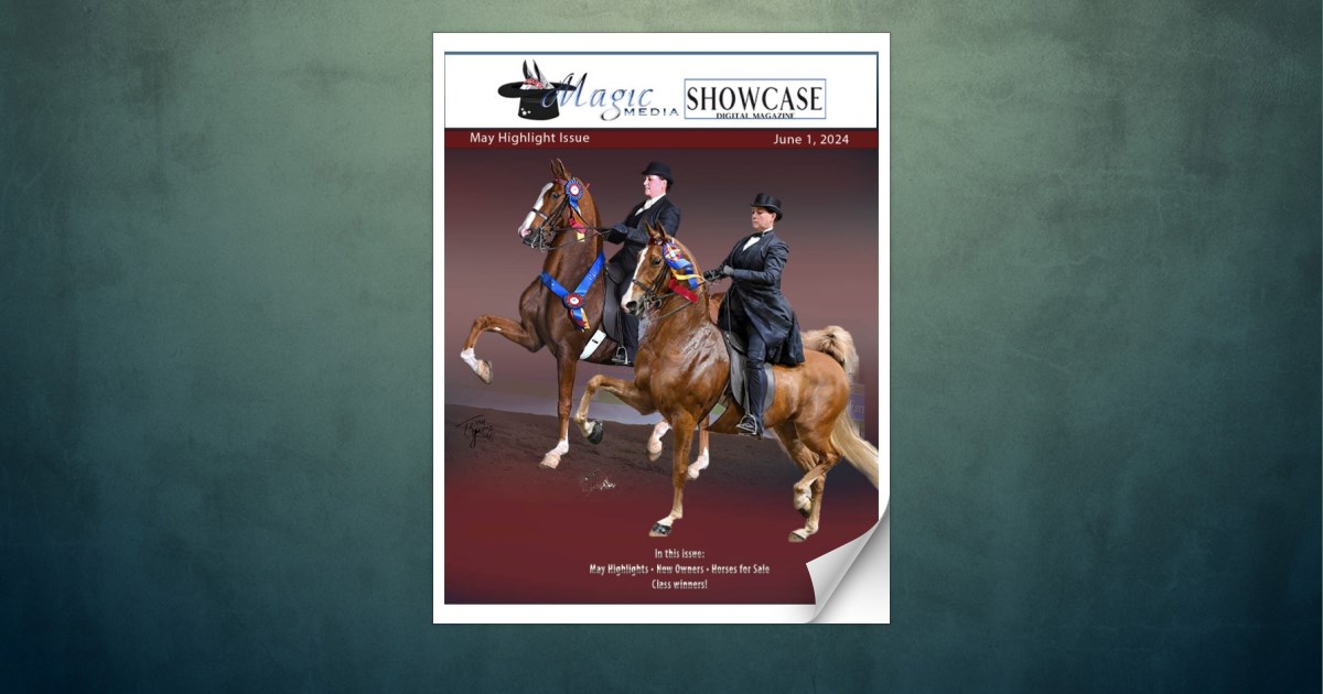 Magic Media Showcase June 2024