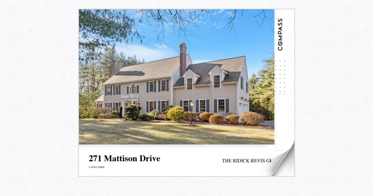 271 Mattison Brochure - Page 2