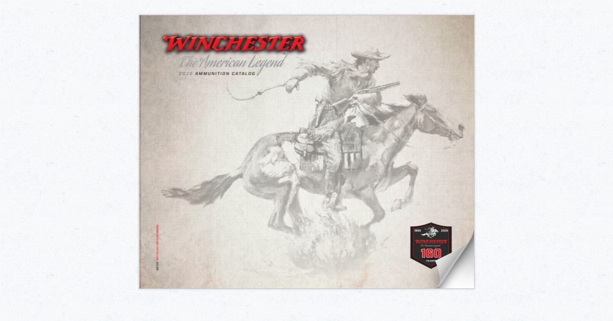 WIN 2026 Online Cat - Page 5