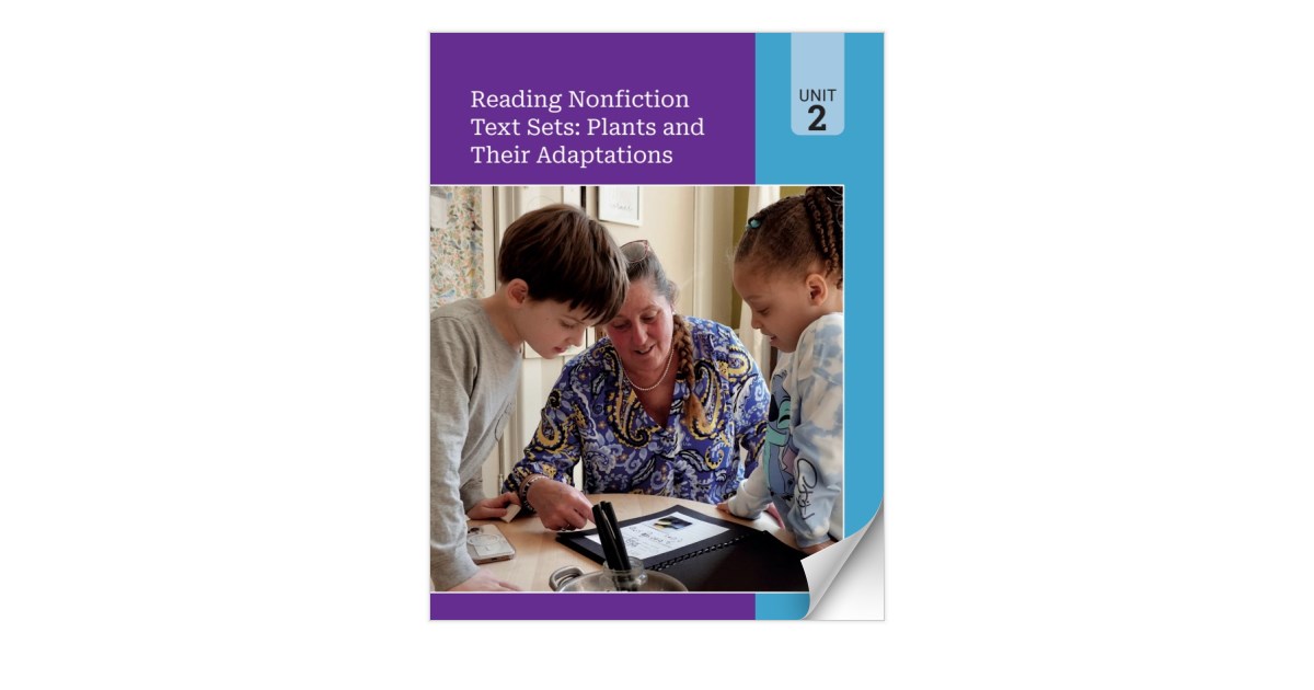 Grade 3 Unit 2 Bend I Sample