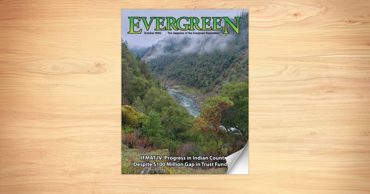 Evergreen Magazine - IFMAT-IV October 2023