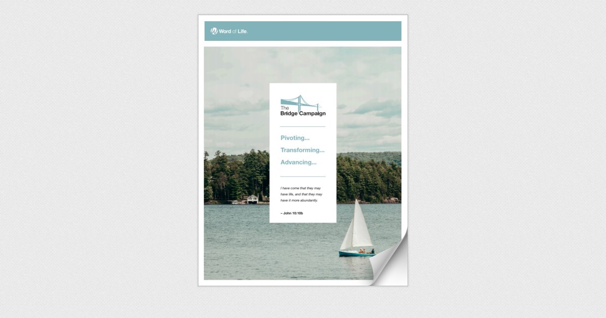 Bridge Campaign Case Statement