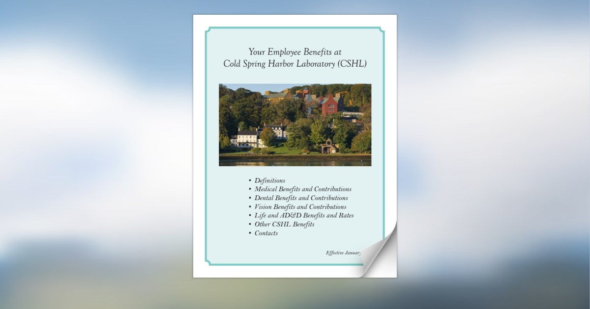 Benefits Guide 2025 - Page 12