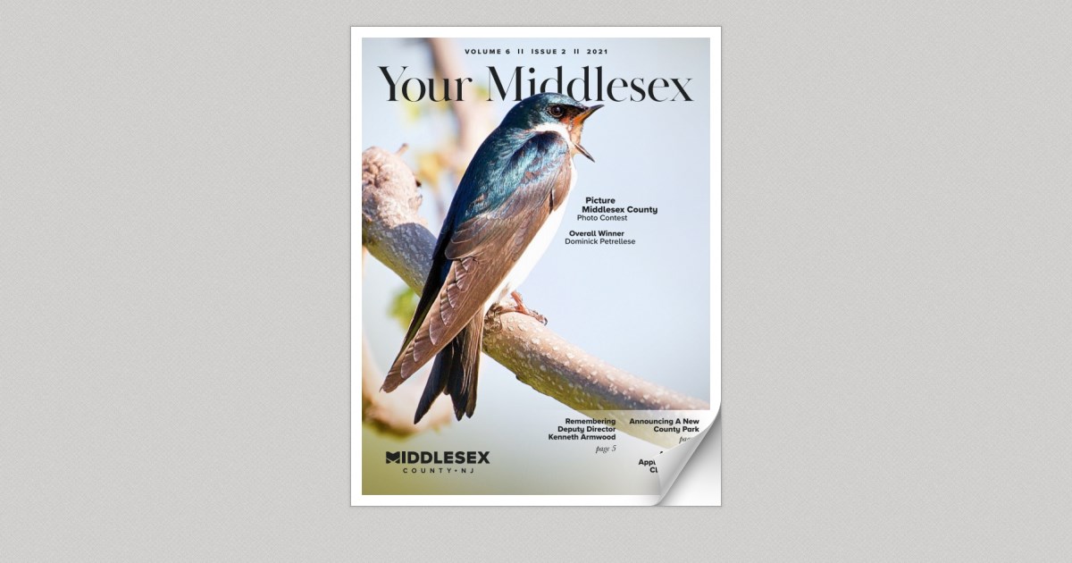 Volume 6 - Issue 2 - 2021 - Page 2