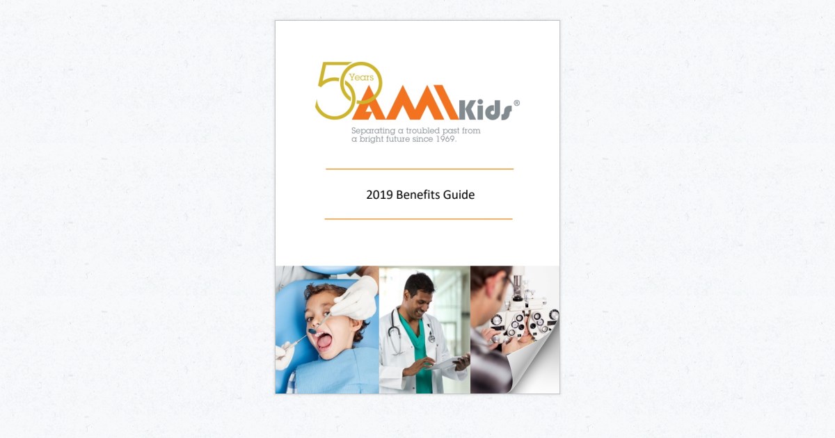 2019 AMIkids Benefits Guide