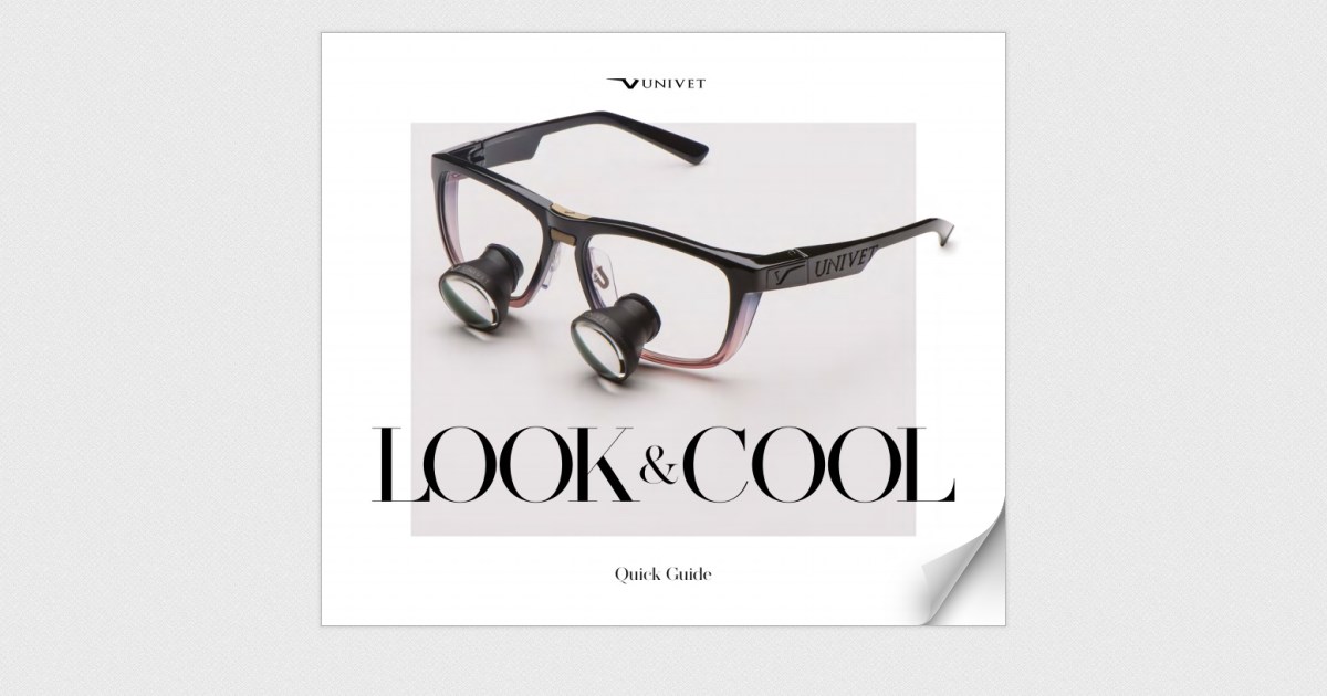 LOOK & COOL Quick Guide_PT