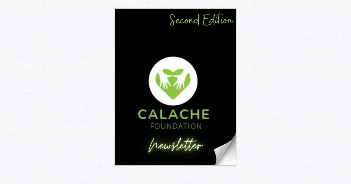 calache newsletter 2nd edition