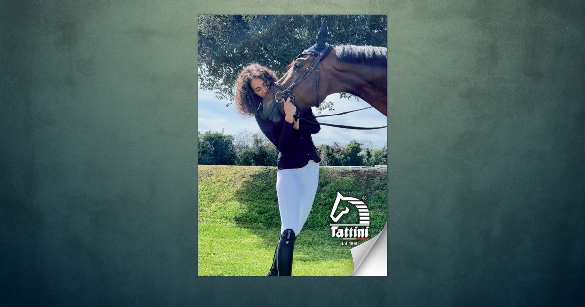 Tattini Catalogue (Eng)