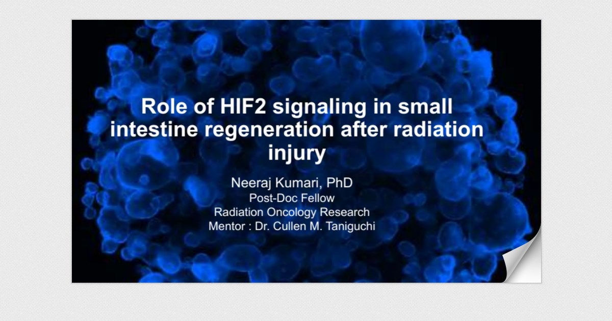 Role of HIF2 signaling in small intestine regeneration afte…