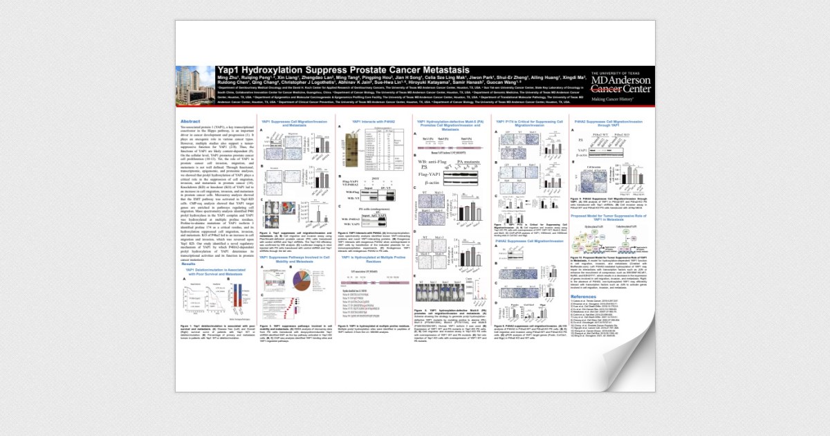 Yap1 Hydroxylation Suppress Prostate Cancer Metastasis