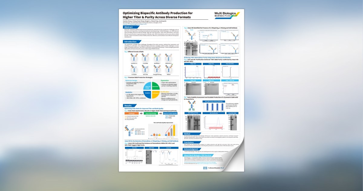 Premium BsAb: Strategies for Improved Purity & Yield