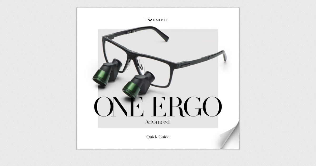 ONE ERGO Advanced Quick Guide