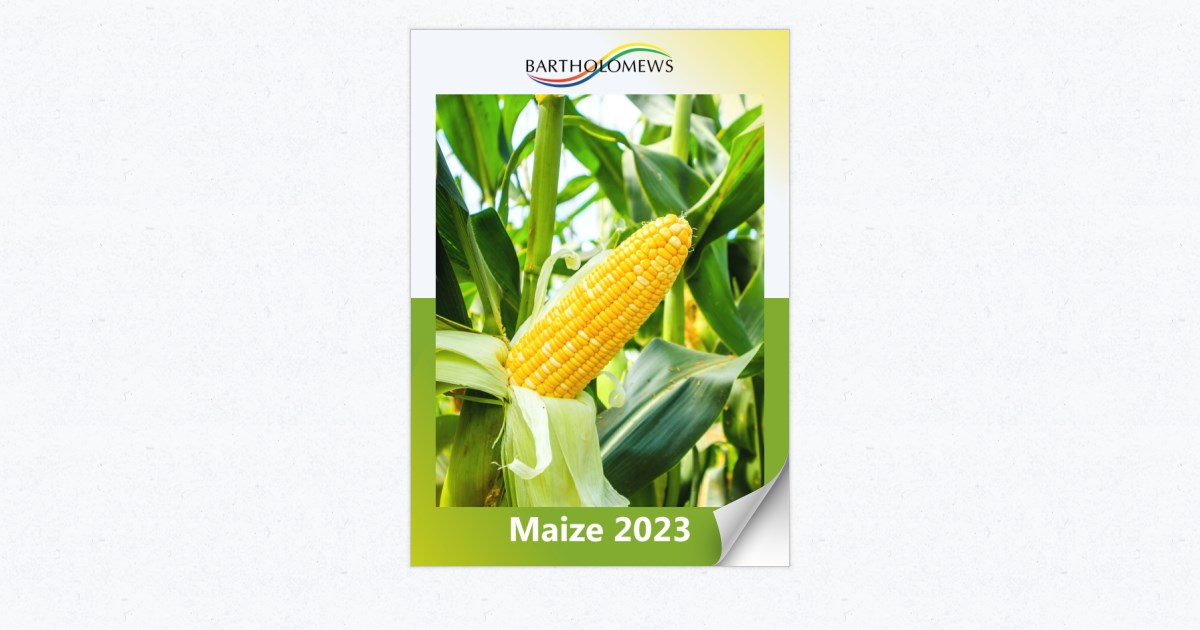 Maize 2023 booklet
