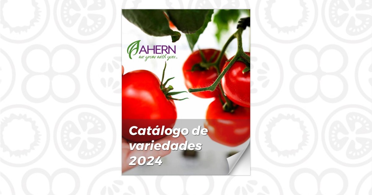 Catálogo Ahern 2024