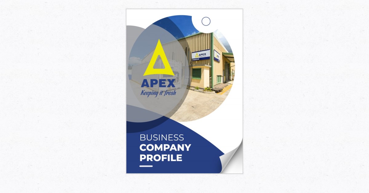 Apex Company Profile - English