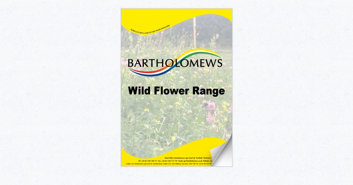 Wild Flower Booklet