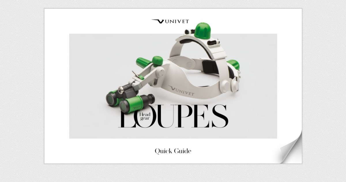 HEADGEAR Quick Guide