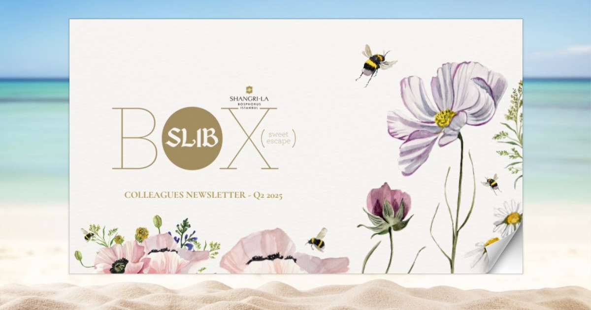 SLIB BOX - Newsletter - 2nd Quarter 2025