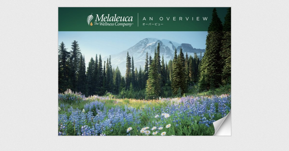 Overview_202402 - Page 49