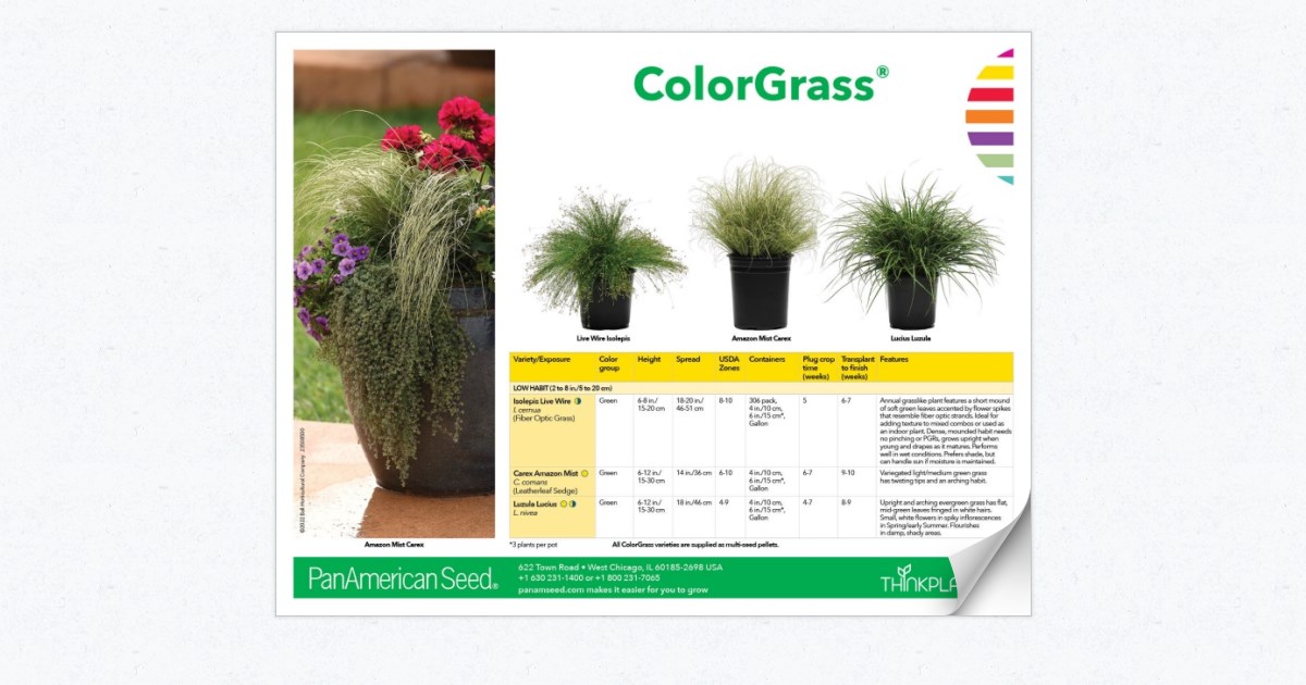 ColorGrass Brochure