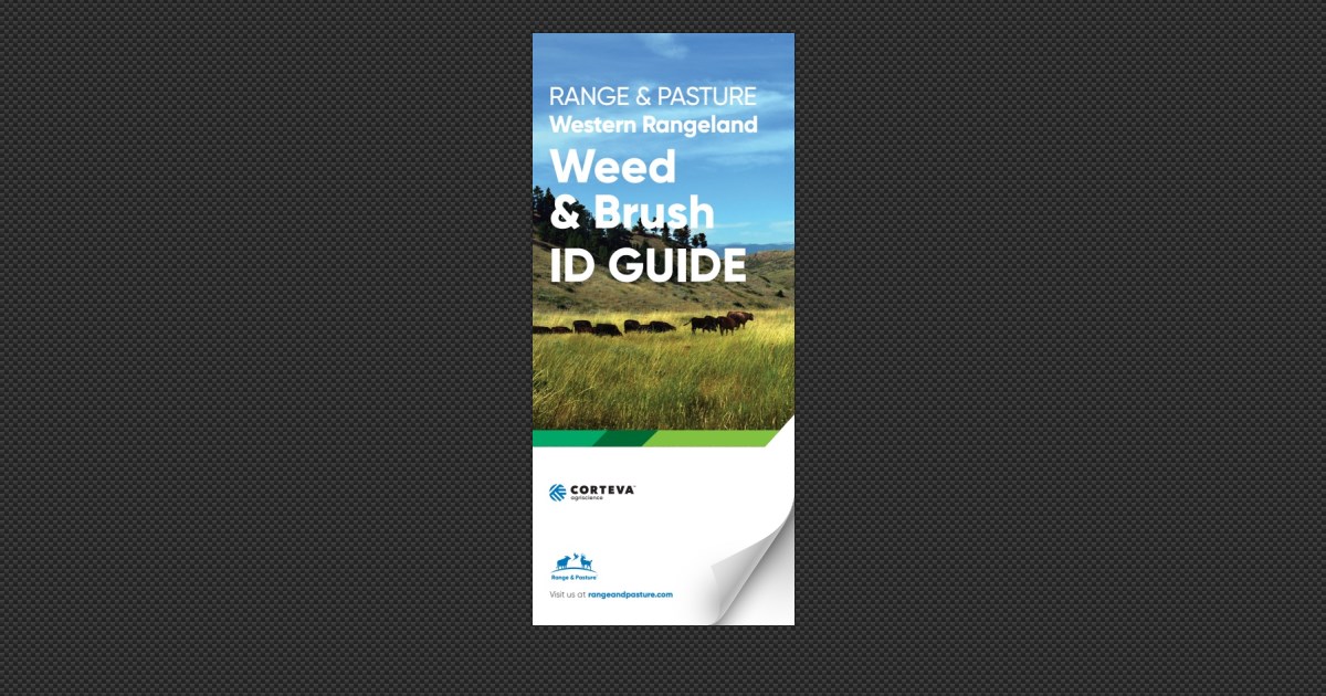 2024 Range & Pasture Western Rangeland Weed & Brush ID Guide