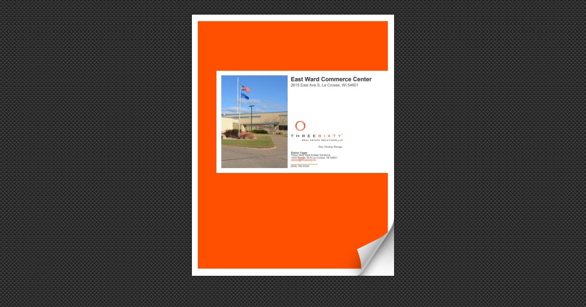 Professional Flyer_032025