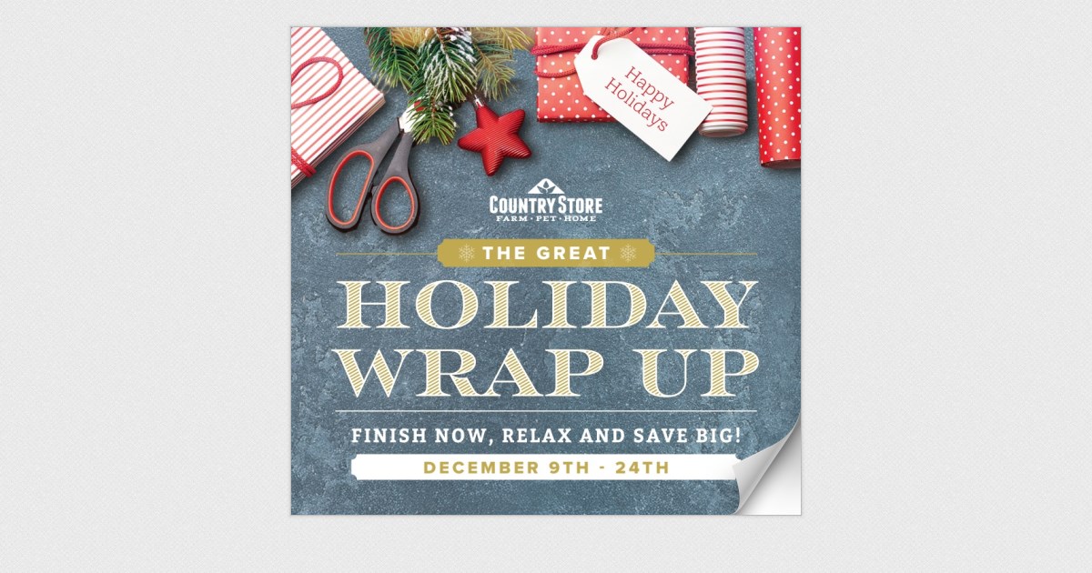 The Great Holiday Wrap Up