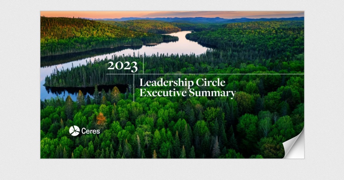 Leadership Circle Executive Summary 2023